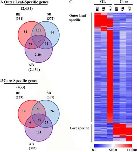 distribution and expression patterns of genes showing tissue specific