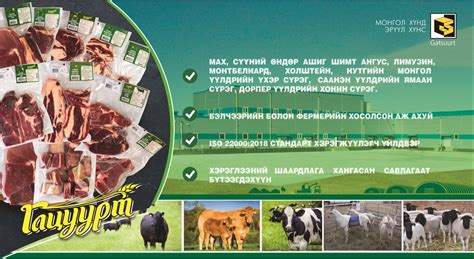 Гацуурт хүнс ХХК