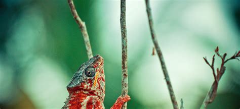 Microsoft Patch Tuesday Juli 2024 Pqr