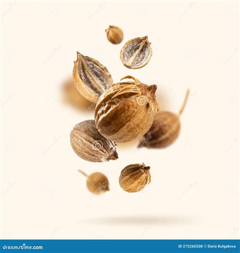 Falling Organic Dried Coriander Seeds Float On A Beige Background Floating In The Air Food
