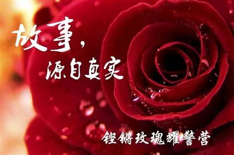 鏗鏘玫瑰耀警營 每日頭條