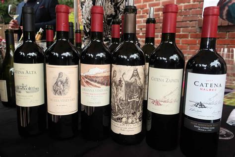 Top Rated Malbec Wines To Drink From Around The World
