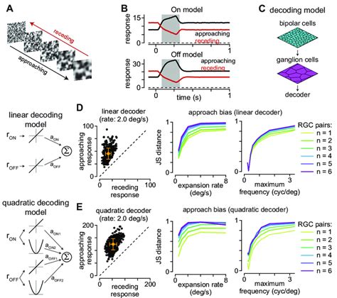 Computational Model Predicts Selectivity For Approaching Textures A Download Scientific