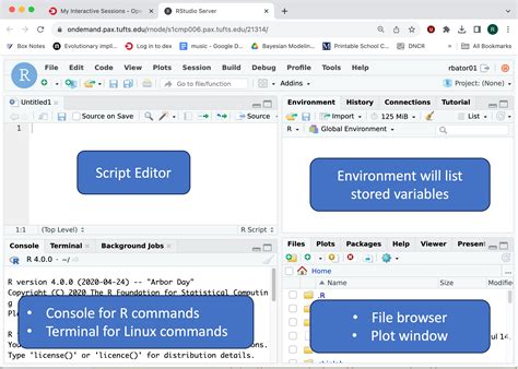 Set Up Bioinformatics Education And Services At Tufts