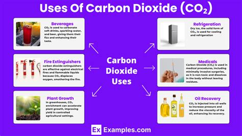 How Is Carbon Used In Everyday Life