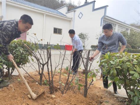 追青逐绿好时节 植树添绿正当时 企业观察 人民交通网