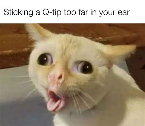 Warning Do Not Insert Into Ear Canal Rdankmemes