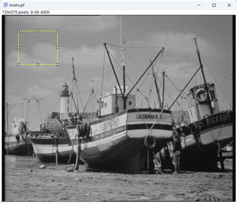 【imagej】gui操作で画像解析を行う【画像解析】 Labcode