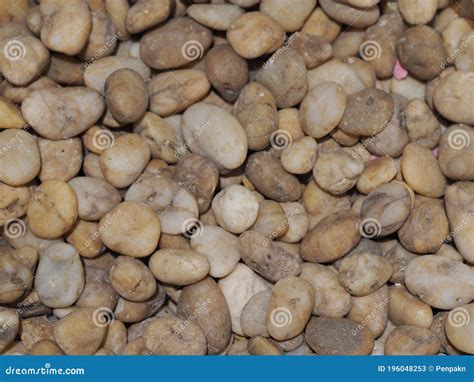 Background Of Small Pebbles Round Sea Stones Texture Rocks Material Stock Image Image Of Macro