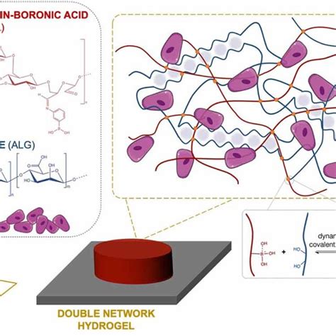 Schematic Representation Of The Methodology To Produce The Dynamic Download Scientific Diagram