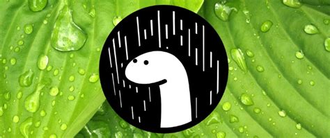 Create A Simple Rest Api With Deno And Oak Framework Dev Community