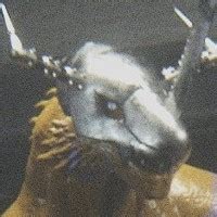 Artspam Artspam Itaku