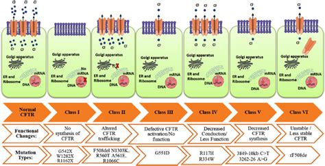 The Pathophysiology Of Cystic Fibrosis Comprises A Malfunctioning CFTR Download Scientific