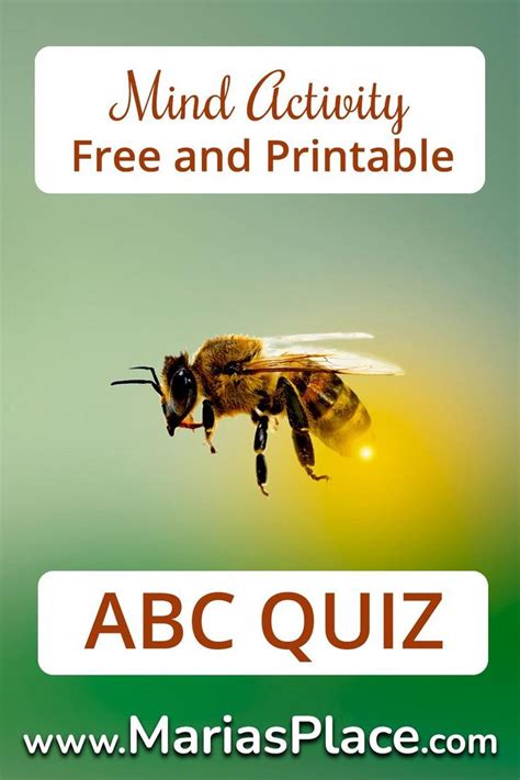 ABC Quiz With Multiple Choice Answers