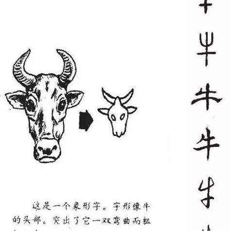 【知识】生 肖 甲 骨 文！小篆金文隶书