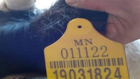 ХХААХҮЯ Мал сүрэг үндэсний баялаг мөн бөгөөд төрийн хамгаалалтад байна