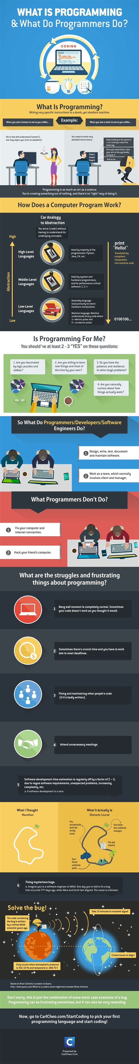 Programming Infographic