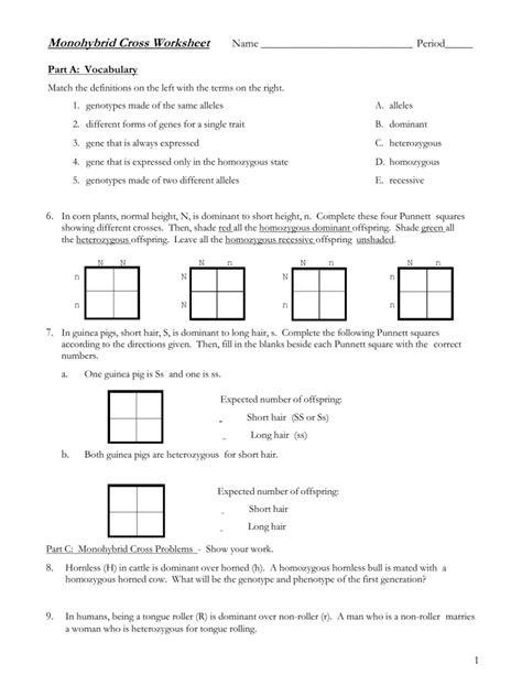 Monohybrid Cross Genetics Worksheet