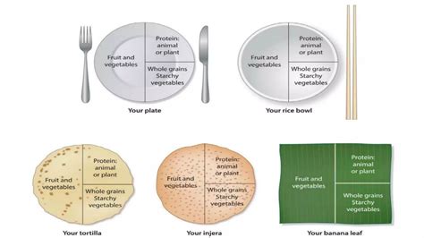 Diabetic Nephropathy 1 Ppt Free Download