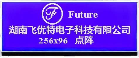 25696 Graphic Lcd Cog Lcd Display Lcd Display And Lcd Screen Price