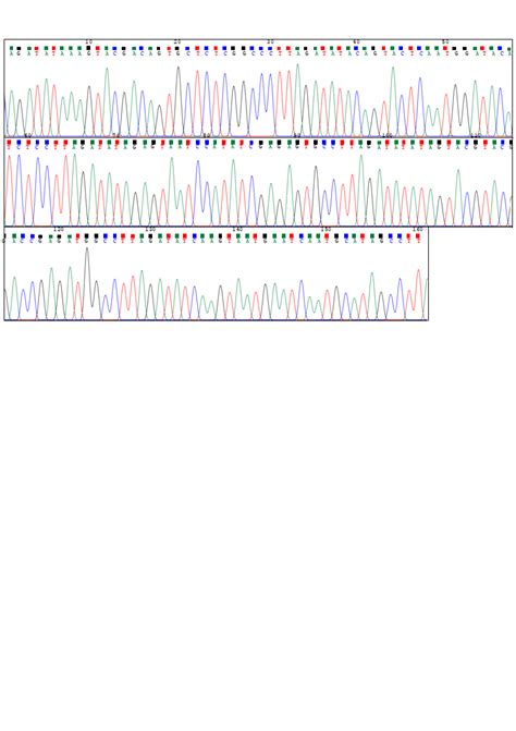 Fig A 4 Sample Sequencing Chromatogram From PNOSTEG With 60bp DNA Download Scientific Diagram
