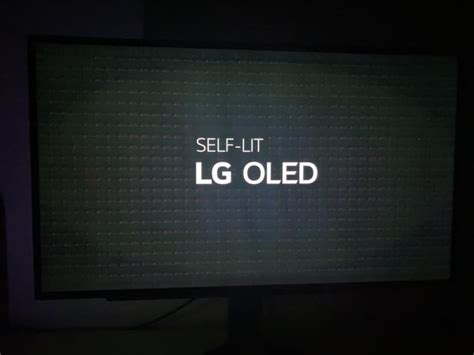 has anyone seen this issue before weird grid nodule array on oled monitor r oled gaming