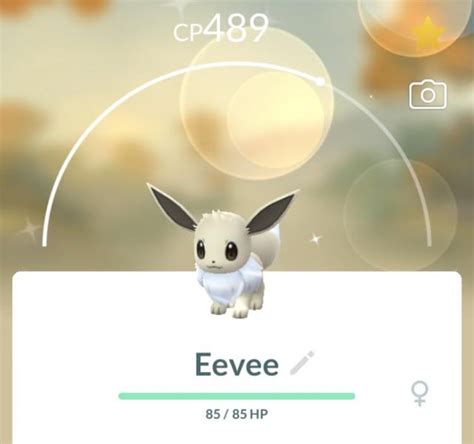 Got This Female Shiny Eevee In Pokémon Go Today R Eevee