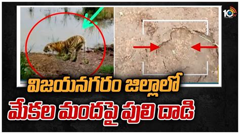 విజయనగరం జిల్లాను వణికిస్తోన్న పులి Tiger Roaming In Vizianagaram