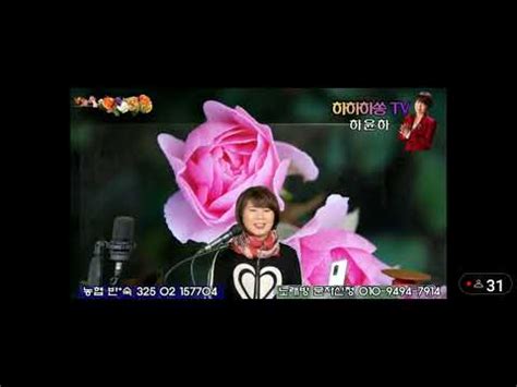 청산녹수 YouTube