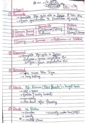 Plants Morphology PDF