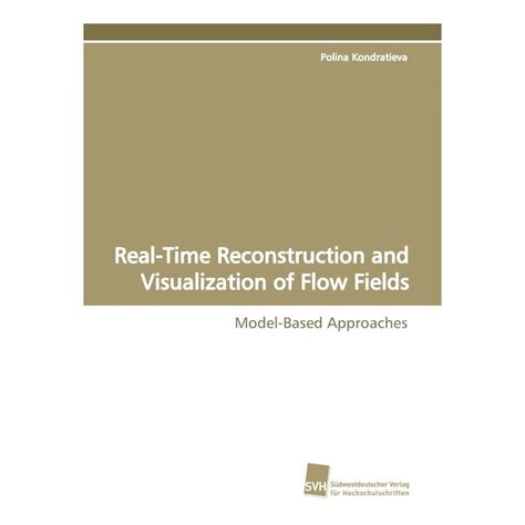 real time reconstruction and visualization of flow fields de polina