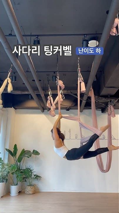 플라잉요가 초보시퀀스사다리변형플라잉요가키즈플라잉요가플라잉요가지도자과정요가디야다이어트스트레칭파주플라잉요가초보시퀀스