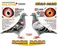 爱鸽商城 中信网铭鸽展厅 ag188