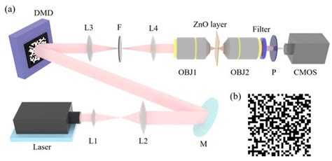 Photonics Free Full Text Experimental Generation Of Structured