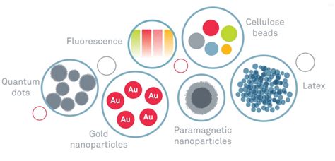 Test And Assay Development Technical Platform Cd Bioparticles