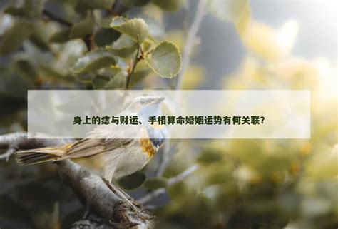 阴阳脸面相解读一生迷命理网