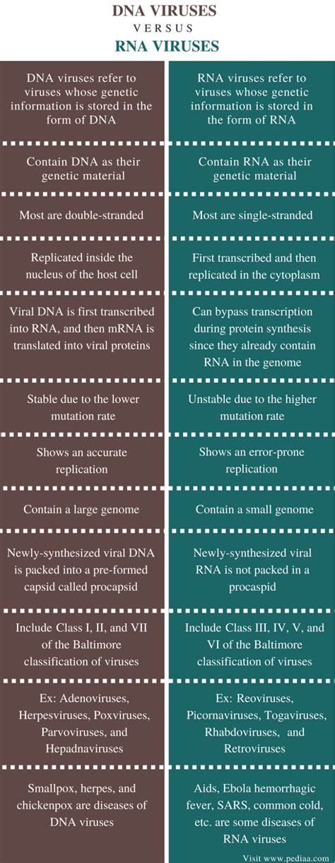Recombination Of Viruses