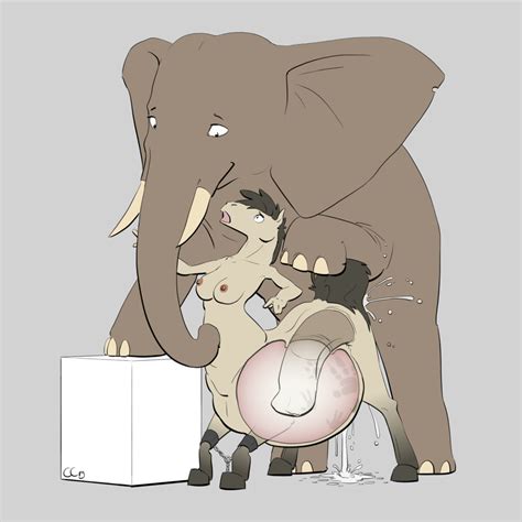 Rule 34 11 Animal Genitalia Animal Penis Bodily Fluids Bound Breasts