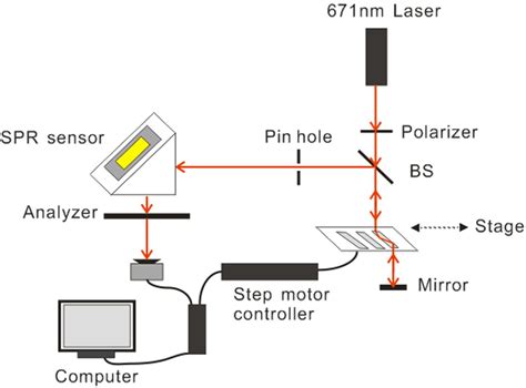 Schematic Diagram Showing The Setup Of Phase Sensitive Spr Sensing Download Scientific Diagram