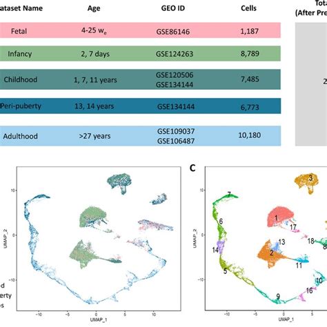 Profiling And Integrating Scrna Seq Data Of Male Fetal Gonad Cells To