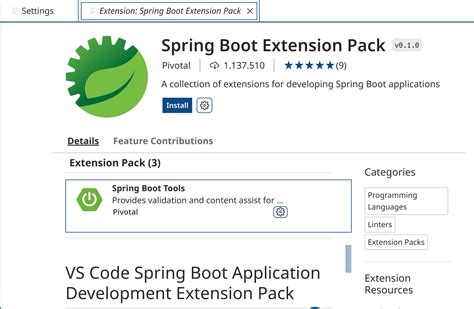 Visual Studio Code Spring Server E Sviluppo Avanzato Di Java HTML It