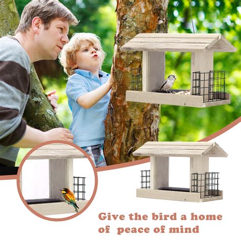 Tndbkqwr Wild Bird Feeders Window Hummingbird Feeder Bird Feeder For