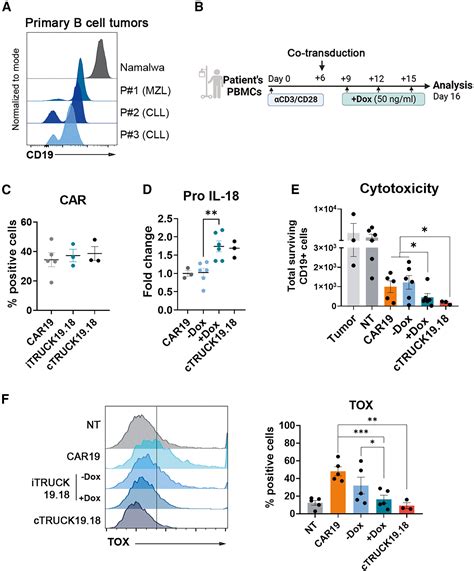 First In Class Transactivator Free Doxycycline Inducible Il 18 Engineered Car T Cells For