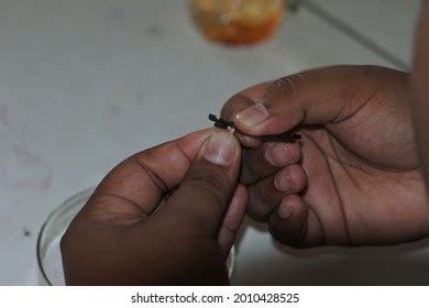 Science Lab Naked Man Royalty Free Images Stock Photos Pictures Shutterstock