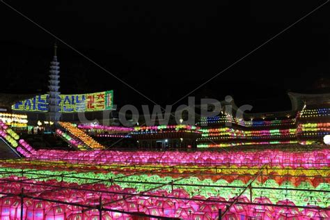 부산 삼광사 연등축제 불교 부처님오신날 사진 이미지 일러스트 캘리그라피 Yunseul작가