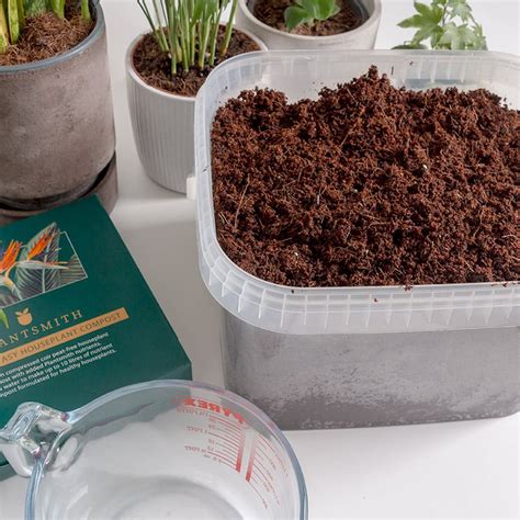 Plantsmith Peat Free Houseplant Compost 10 Litres The Little Botanical