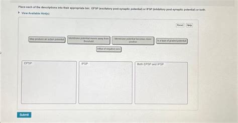 Solved Place Each Of The Descriptions Into Their Appropriate