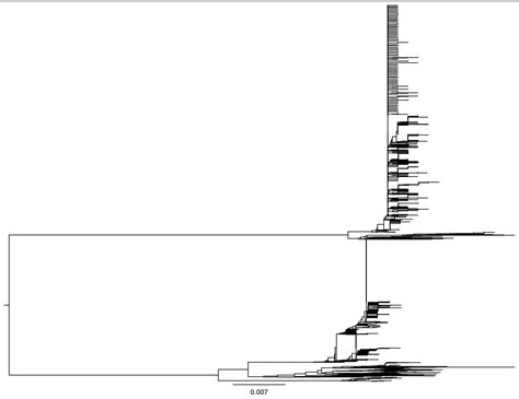 The Problem About The Tree Display · Issue 456 · Yulab Smuggtree · Github