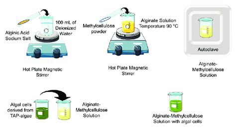Bioink Preparation Procedure Download Scientific Diagram
