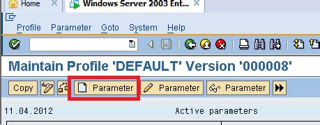 How To Enable Sap Userid SAPCODES